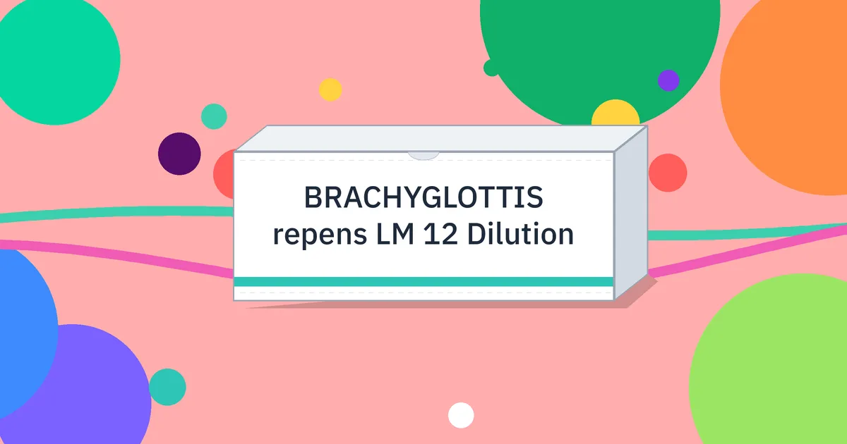 Symbolbild: Packung mit der Aufschrift BRACHYGLOTTIS repens LM 12 Dilution (PZN 13394874) – Verfügbarkeit und Bezug in Apotheken in Frankfurt am Main