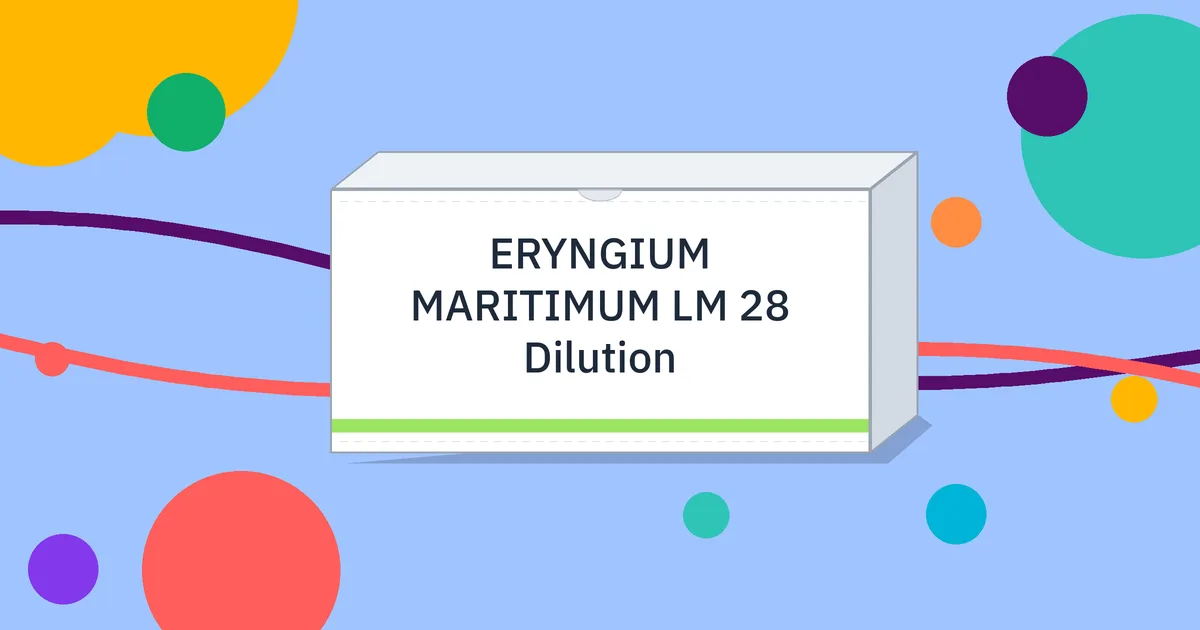Symbolbild: Packung mit der Aufschrift ERYNGIUM MARITIMUM LM 28 Dilution (PZN 13479211) – Verfügbarkeit und Bezug in Apotheken in Frankfurt am Main