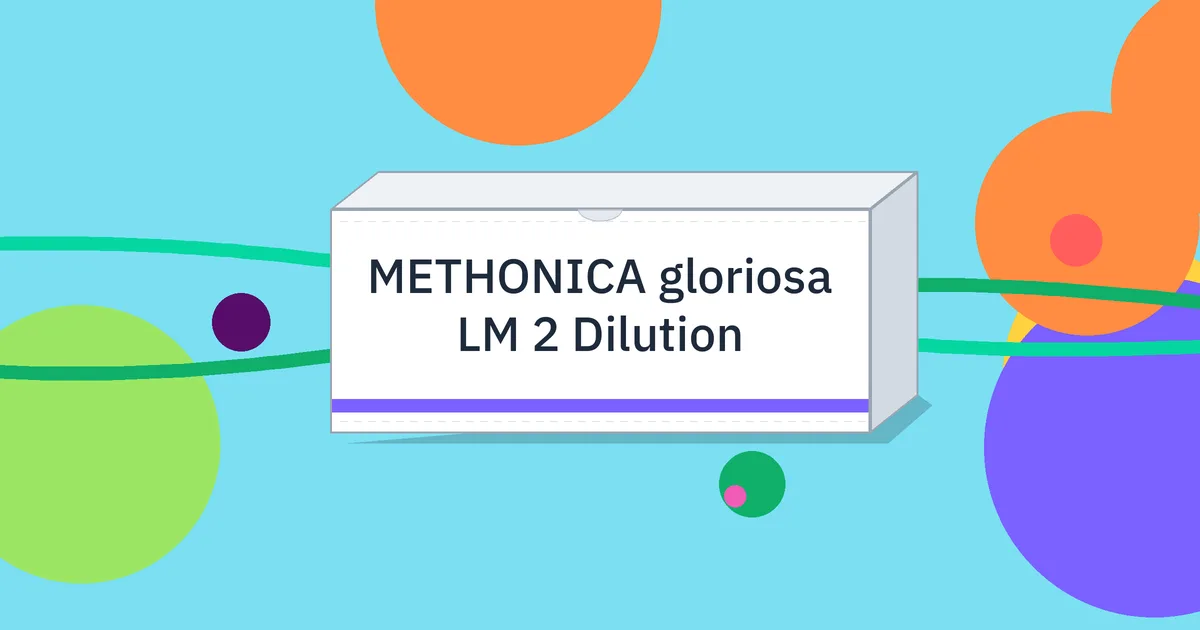 Symbolbild: Packung mit der Aufschrift METHONICA gloriosa LM 2 Dilution (PZN 13606425) – Verfügbarkeit und Bezug in Apotheken in Frankfurt am Main