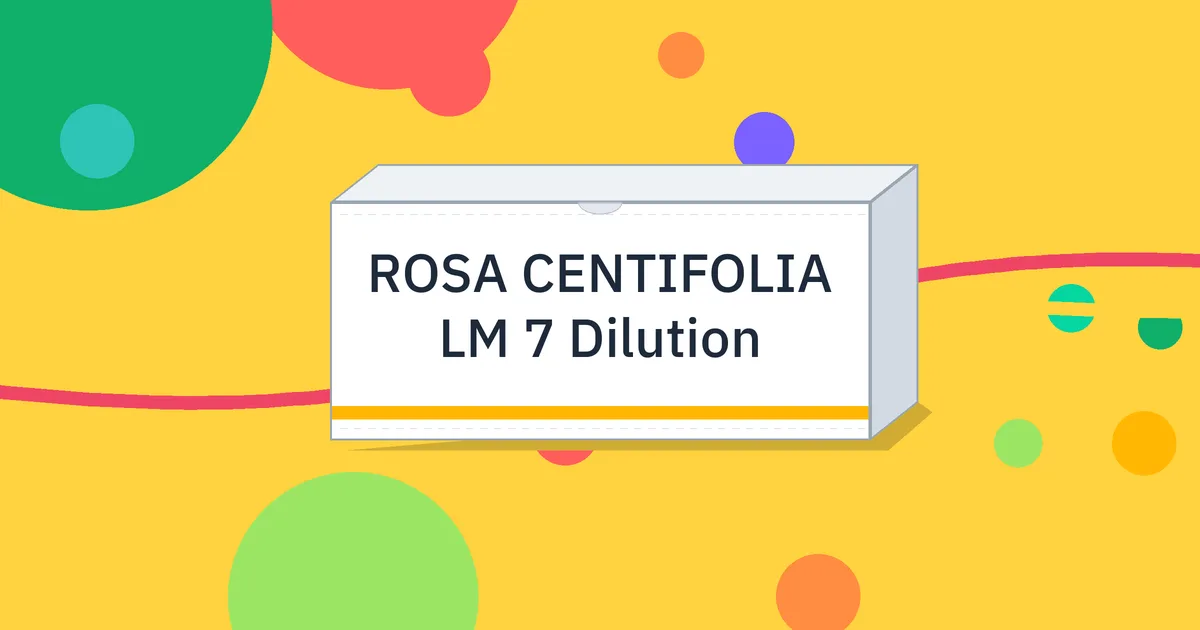 Symbolbild: Packung mit der Aufschrift ROSA CENTIFOLIA LM 7 Dilution (PZN 13055741) – Verfügbarkeit und Bezug in Apotheken in Frankfurt am Main