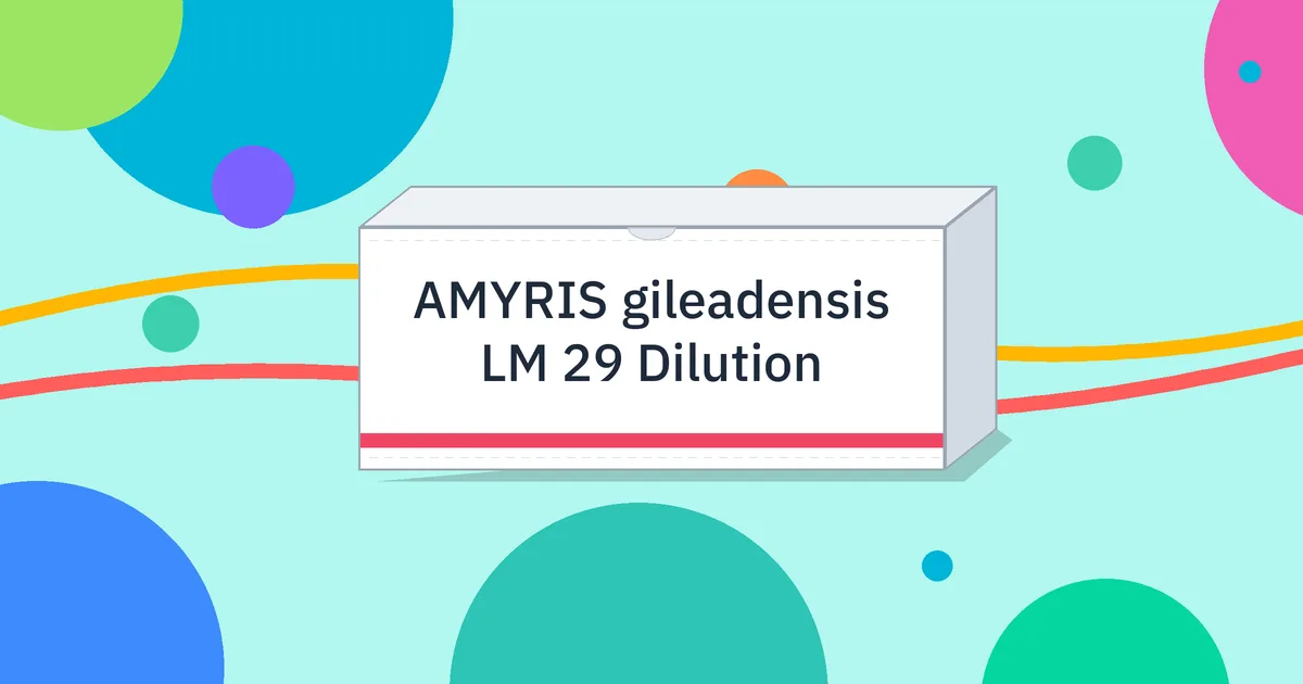 Symbolbild: Packung mit der Aufschrift AMYRIS gileadensis LM 29 Dilution (PZN 13327174) – Verfügbarkeit und Bezug in Apotheken in Frankfurt am Main