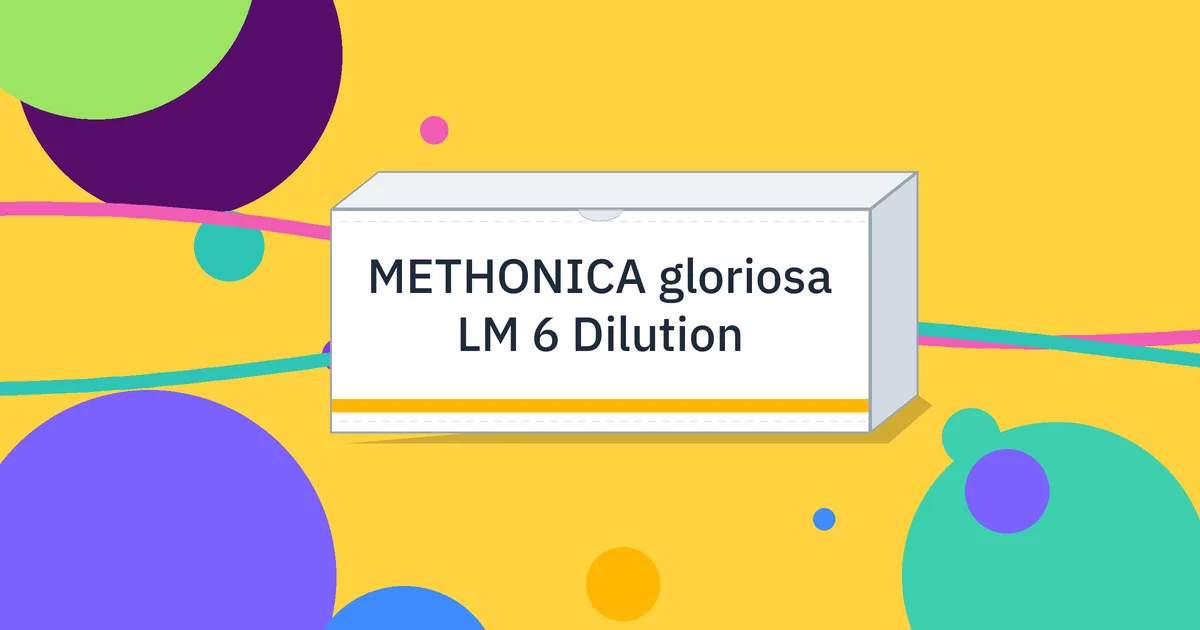 Symbolbild: Packung mit der Aufschrift METHONICA gloriosa LM 6 Dilution (PZN 13606460) – Verfügbarkeit und Bezug in Apotheken in Frankfurt am Main