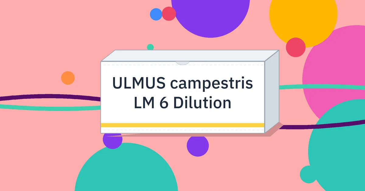 Symbolbild: Packung mit der Aufschrift ULMUS campestris LM 6 Dilution (PZN 13255227) – Verfügbarkeit und Bezug in Apotheken in Frankfurt am Main