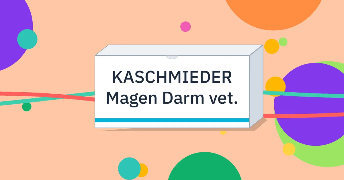 Symbolbild: Packung mit der Aufschrift KASCHMIEDER Magen Darm vet. (PZN 04073059) – Verfügbarkeit und Bezug in Apotheken in Frankfurt am Main