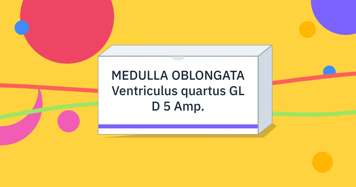 Symbolbild: Packung mit der Aufschrift MEDULLA OBLONGATA Ventriculus quartus GL D 5 Amp. (PZN 03356660) – Verfügbarkeit und Bezug in Apotheken in Frankfurt am Main