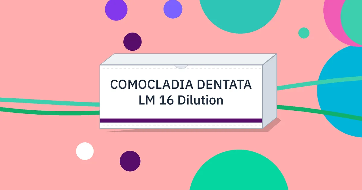 Symbolbild: Packung mit der Aufschrift COMOCLADIA DENTATA LM 16 Dilution (PZN 13449262) – Verfügbarkeit und Bezug in Apotheken in Frankfurt am Main