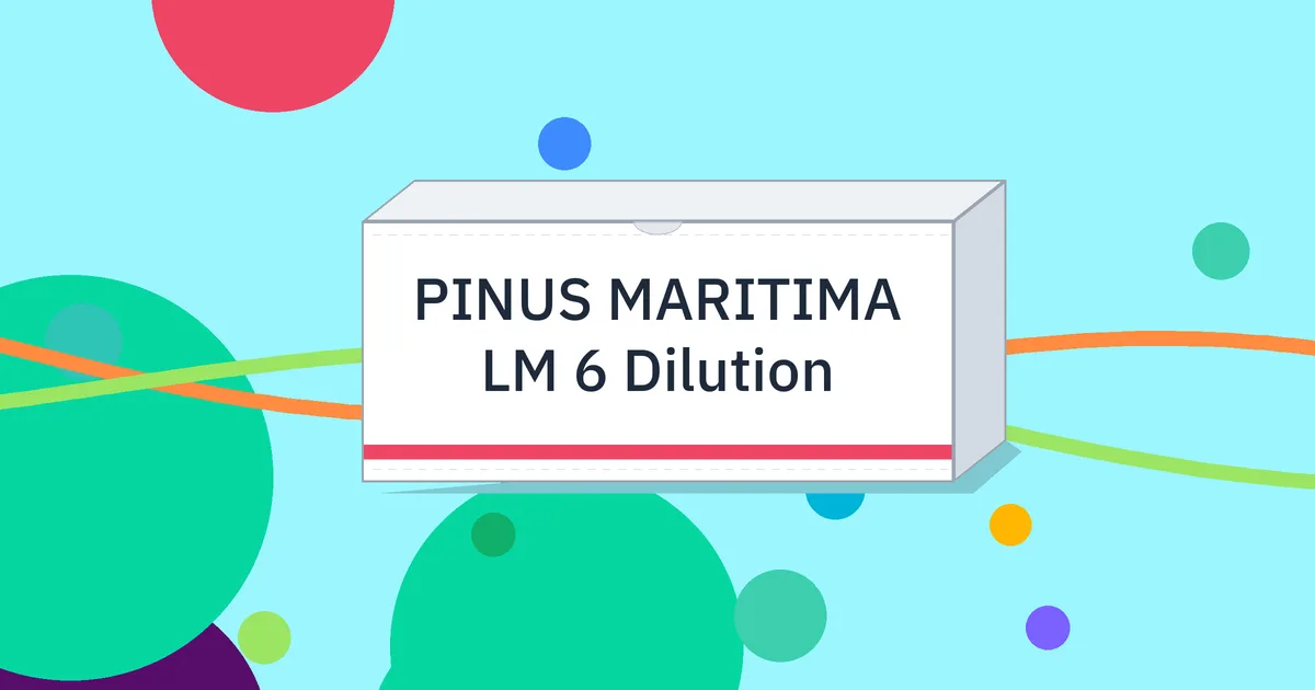 Symbolbild: Packung mit der Aufschrift PINUS MARITIMA LM 6 Dilution (PZN 13644271) – Verfügbarkeit und Bezug in Apotheken in Frankfurt am Main