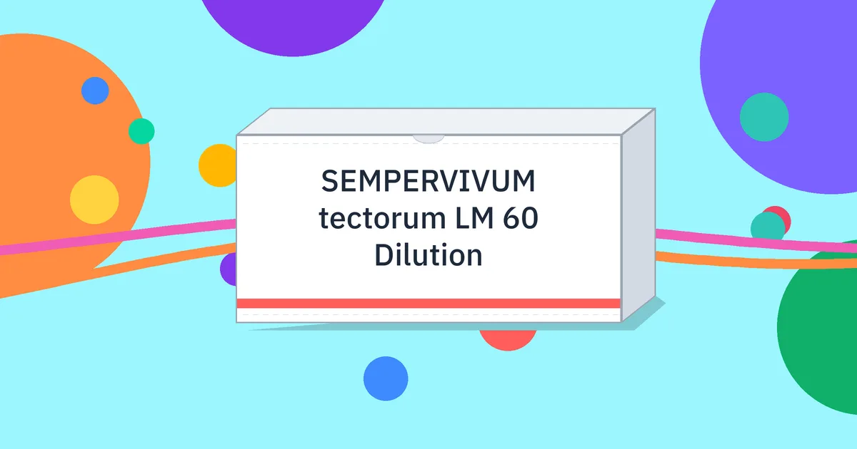 Symbolbild: Packung mit der Aufschrift SEMPERVIVUM tectorum LM 60 Dilution (PZN 13186466) – Verfügbarkeit und Bezug in Apotheken in Frankfurt am Main