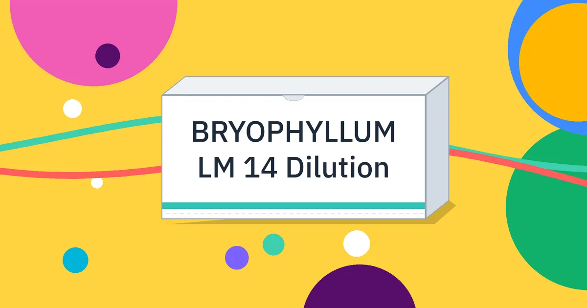 Symbolbild: Packung mit der Aufschrift BRYOPHYLLUM LM 14 Dilution (PZN 13397424) – Verfügbarkeit und Bezug in Apotheken in Frankfurt am Main
