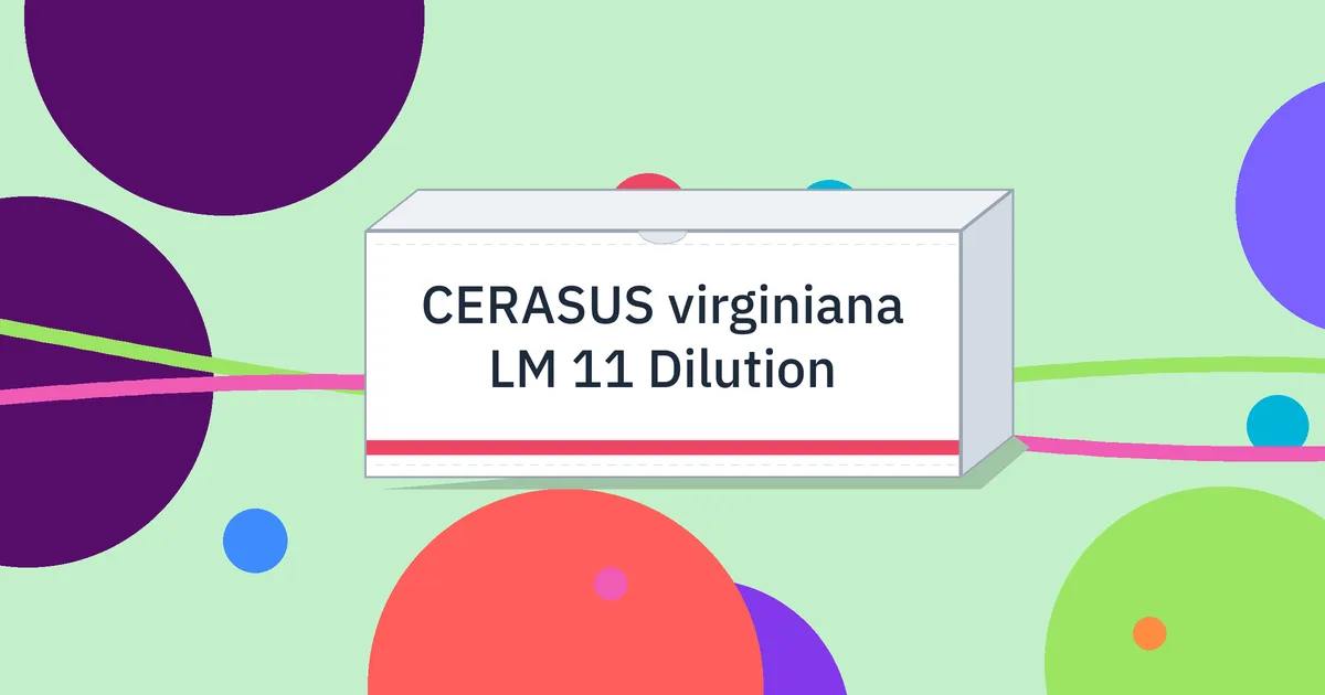 Symbolbild: Packung mit der Aufschrift CERASUS virginiana LM 11 Dilution (PZN 13436609) – Verfügbarkeit und Bezug in Apotheken in Frankfurt am Main