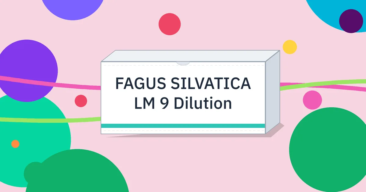 Symbolbild: Packung mit der Aufschrift FAGUS SILVATICA LM 9 Dilution (PZN 13486926) – Verfügbarkeit und Bezug in Apotheken in Frankfurt am Main