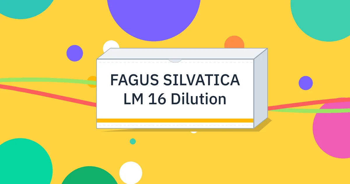 Symbolbild: Packung mit der Aufschrift FAGUS SILVATICA LM 16 Dilution (PZN 13487009) – Verfügbarkeit und Bezug in Apotheken in Frankfurt am Main