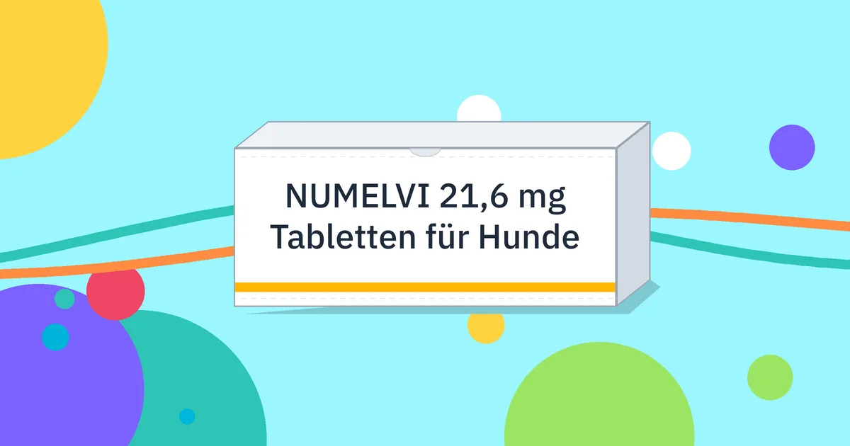 Symbolbild: Packung mit der Aufschrift NUMELVI 21,6 mg Tabletten für Hunde (PZN 20098685) – Verfügbarkeit und Bezug in Apotheken in Frankfurt am Main