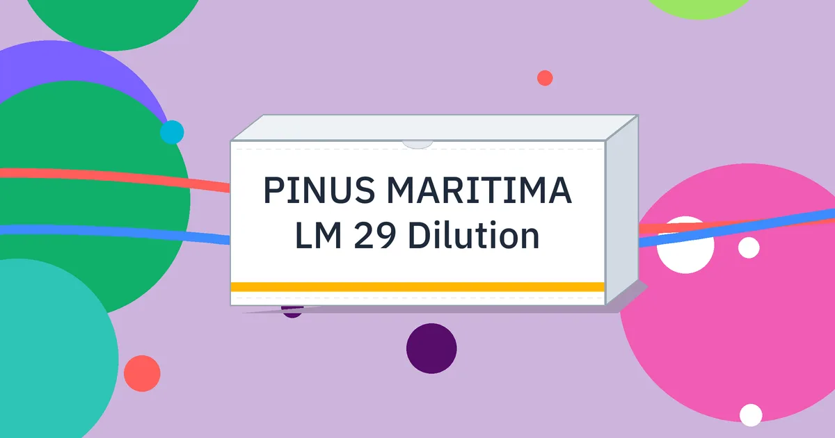 Symbolbild: Packung mit der Aufschrift PINUS MARITIMA LM 29 Dilution (PZN 13644561) – Verfügbarkeit und Bezug in Apotheken in Frankfurt am Main