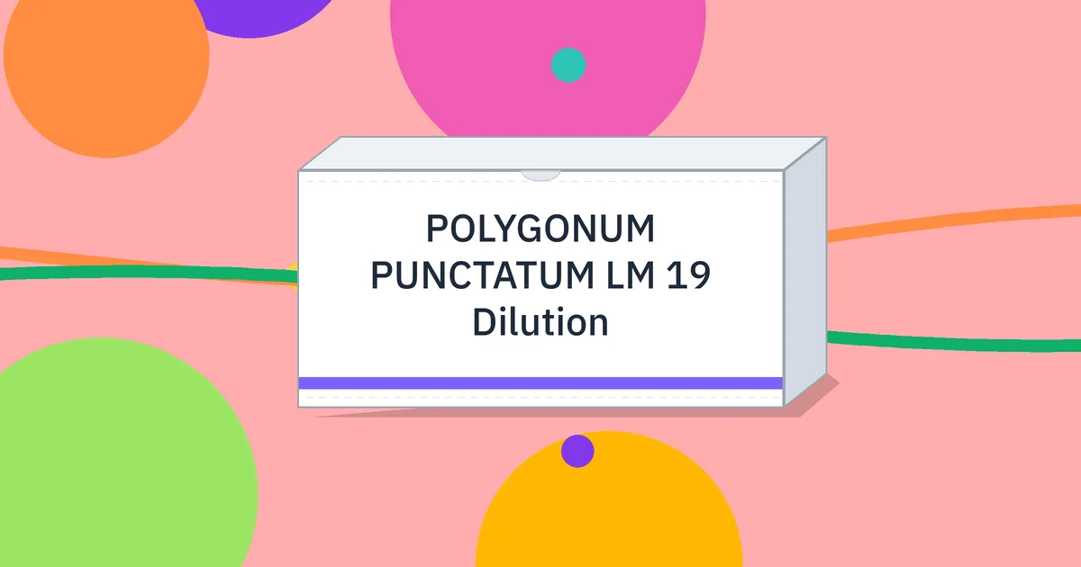 Symbolbild: Packung mit der Aufschrift POLYGONUM PUNCTATUM LM 19 Dilution (PZN 13662961) – Verfügbarkeit und Bezug in Apotheken in Frankfurt am Main