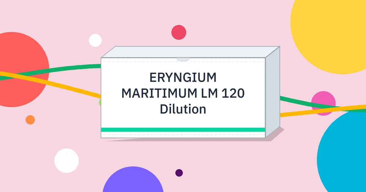Symbolbild: Packung mit der Aufschrift ERYNGIUM MARITIMUM LM 120 Dilution (PZN 13479323) – Verfügbarkeit und Bezug in Apotheken in Frankfurt am Main