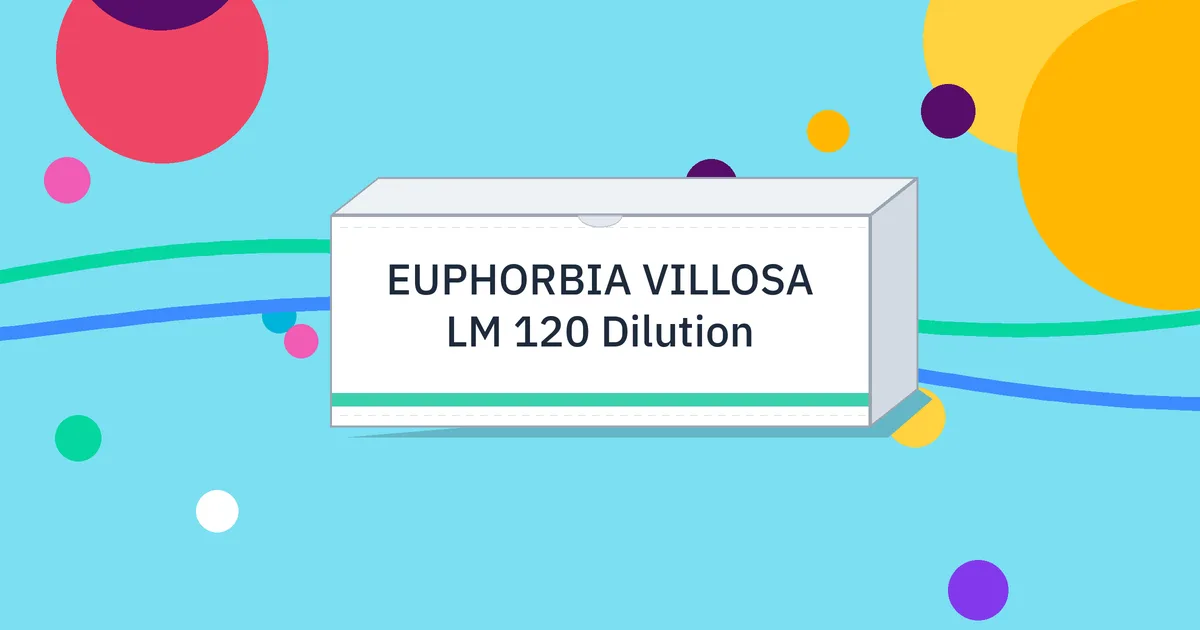 Symbolbild: Packung mit der Aufschrift EUPHORBIA VILLOSA LM 120 Dilution (PZN 13483052) – Verfügbarkeit und Bezug in Apotheken in Frankfurt am Main