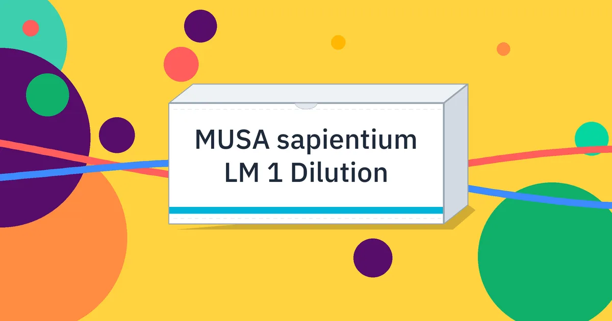 Symbolbild: Packung mit der Aufschrift MUSA sapientium LM 1 Dilution (PZN 13611544) – Verfügbarkeit und Bezug in Apotheken in Frankfurt am Main