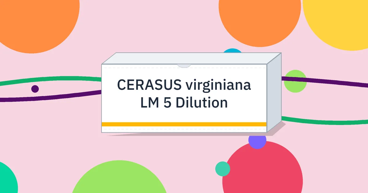 Symbolbild: Packung mit der Aufschrift CERASUS virginiana LM 5 Dilution (PZN 13436549) – Verfügbarkeit und Bezug in Apotheken in Frankfurt am Main
