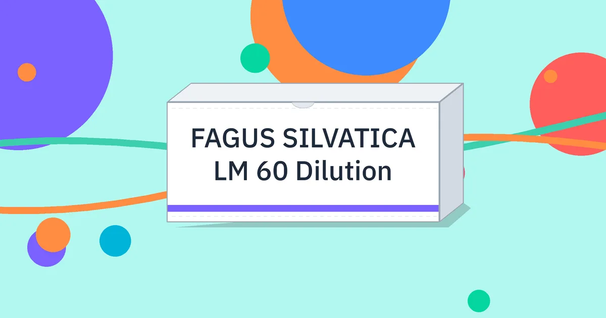 Symbolbild: Packung mit der Aufschrift FAGUS SILVATICA LM 60 Dilution (PZN 13487222) – Verfügbarkeit und Bezug in Apotheken in Frankfurt am Main
