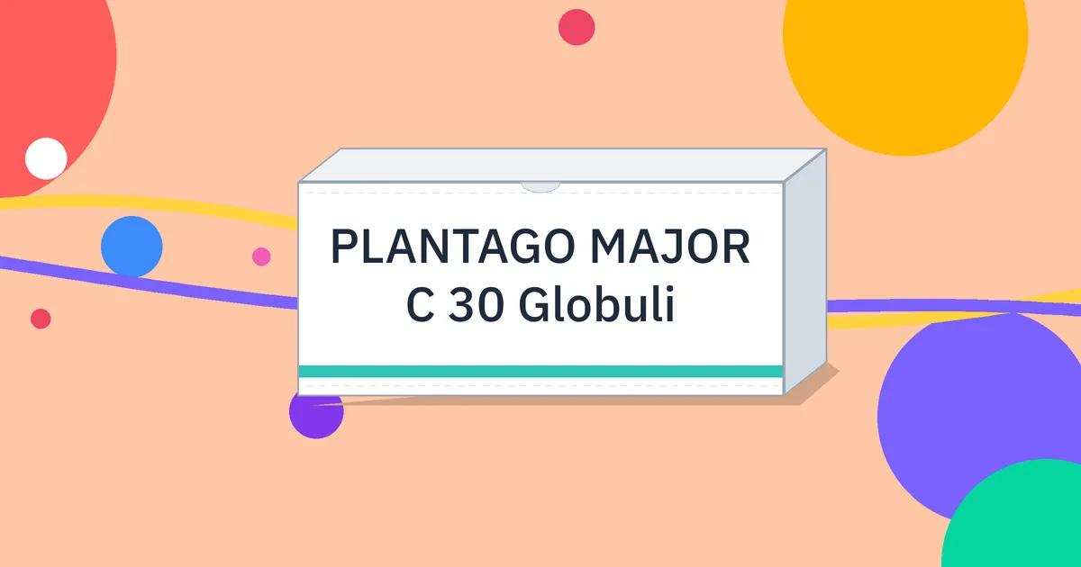 Symbolbild: Packung mit der Aufschrift PLANTAGO MAJOR C 30 Globuli (PZN 07177434) – Verfügbarkeit und Bezug in Apotheken in Frankfurt am Main
