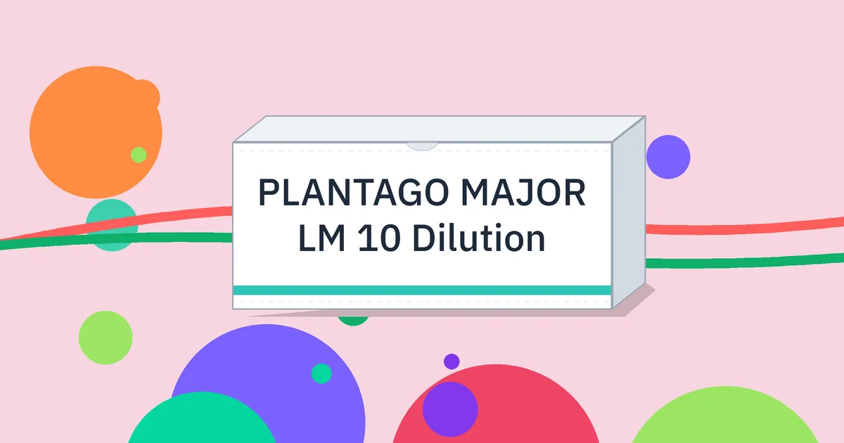 Symbolbild: Packung mit der Aufschrift PLANTAGO MAJOR LM 10 Dilution (PZN 13646689) – Verfügbarkeit und Bezug in Apotheken in Frankfurt am Main