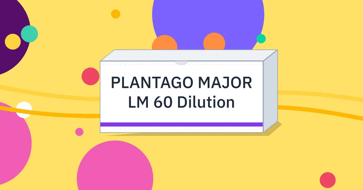 Symbolbild: Packung mit der Aufschrift PLANTAGO MAJOR LM 60 Dilution (PZN 13646962) – Verfügbarkeit und Bezug in Apotheken in Frankfurt am Main