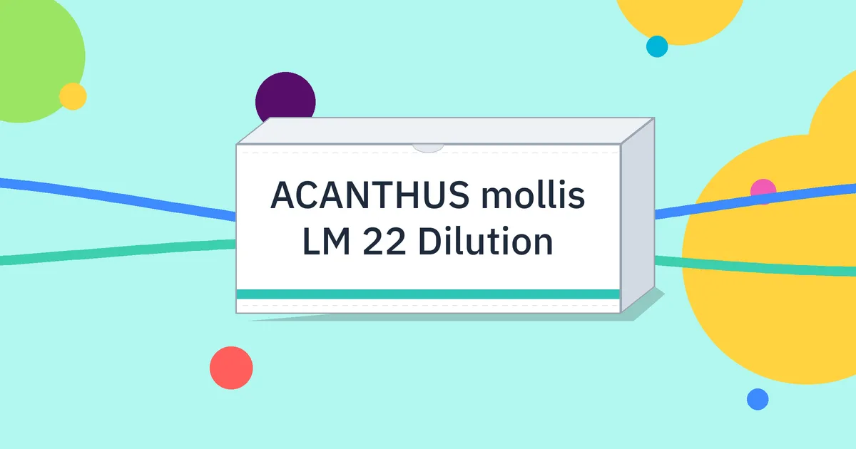 Symbolbild: Packung mit der Aufschrift ACANTHUS mollis LM 22 Dilution (PZN 13263474) – Verfügbarkeit und Bezug in Apotheken in Frankfurt am Main