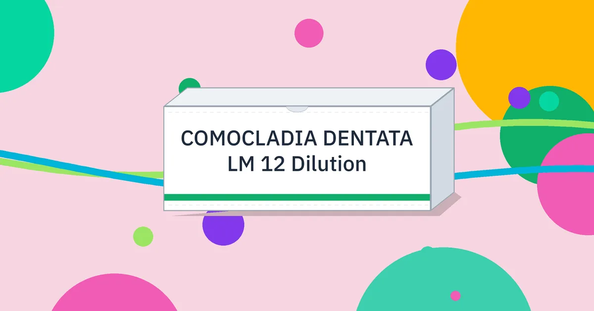 Symbolbild: Packung mit der Aufschrift COMOCLADIA DENTATA LM 12 Dilution (PZN 13449210) – Verfügbarkeit und Bezug in Apotheken in Frankfurt am Main