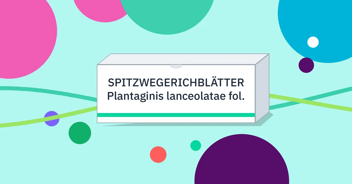 Symbolbild: Packung mit der Aufschrift SPITZWEGERICHBLÄTTER Plantaginis lanceolatae fol. (PZN 20953357) – Verfügbarkeit und Bezug in Apotheken in Frankfurt am Main