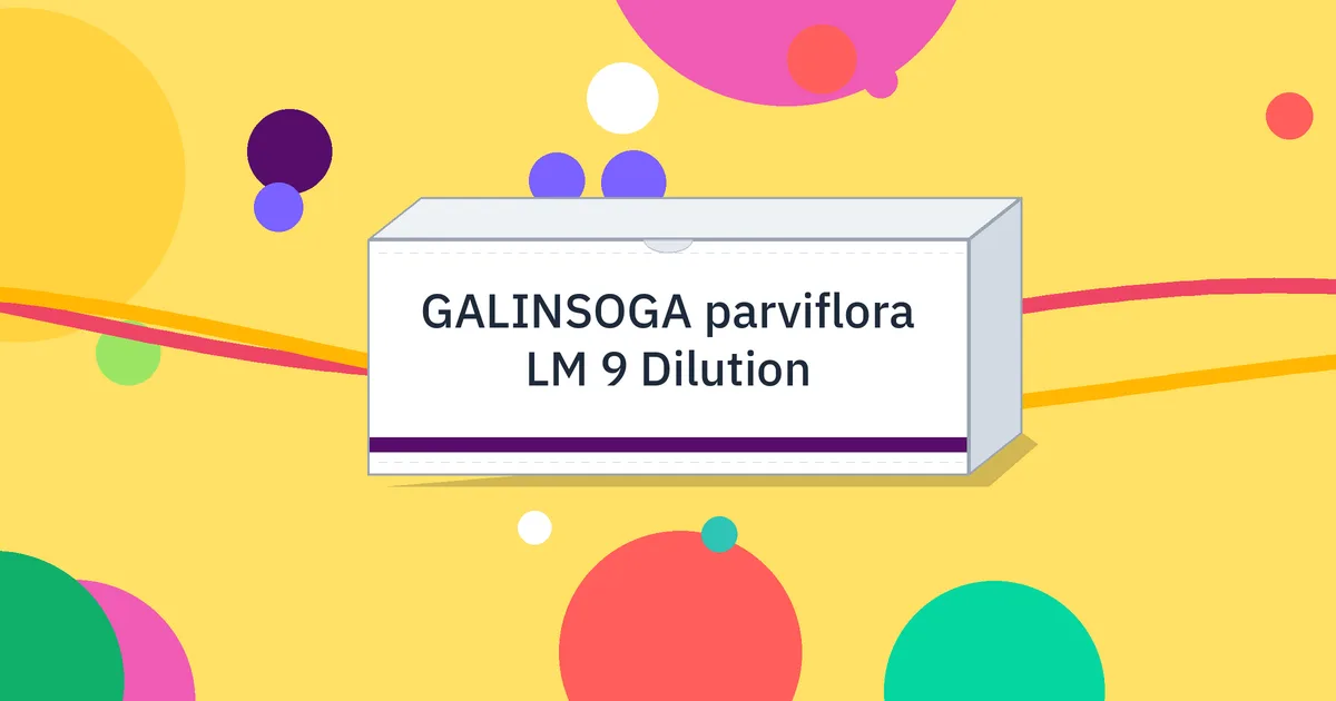 Symbolbild: Packung mit der Aufschrift GALINSOGA parviflora LM 9 Dilution (PZN 13496646) – Verfügbarkeit und Bezug in Apotheken in Frankfurt am Main