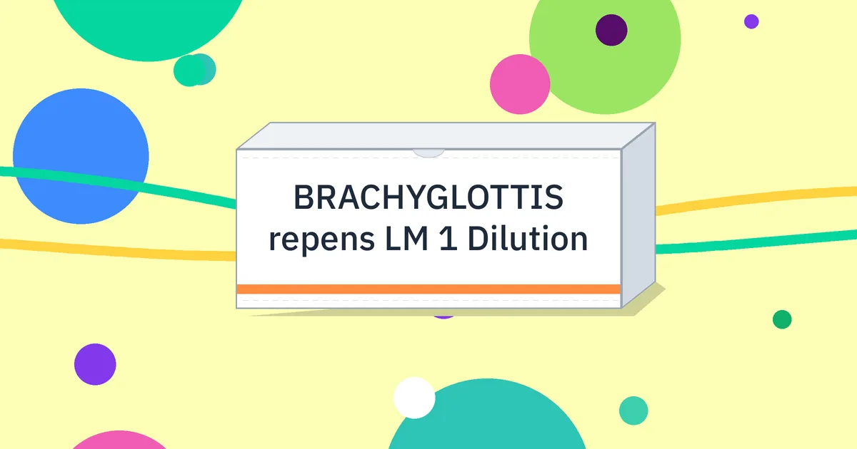 Symbolbild: Packung mit der Aufschrift BRACHYGLOTTIS repens LM 1 Dilution (PZN 13394590) – Verfügbarkeit und Bezug in Apotheken in Frankfurt am Main