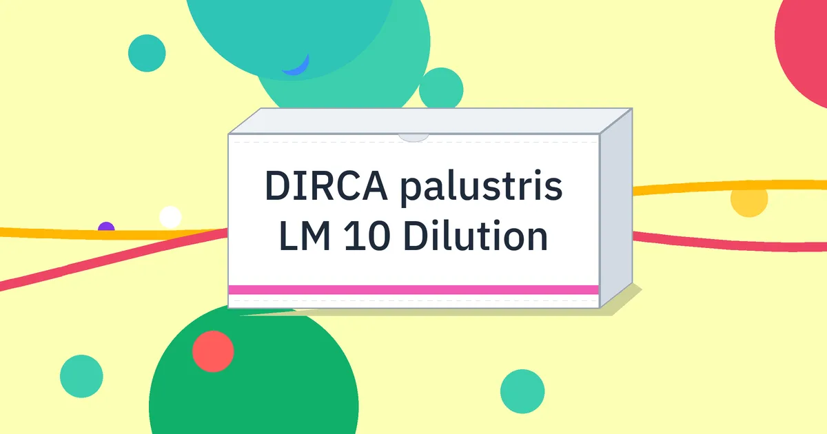 Symbolbild: Packung mit der Aufschrift DIRCA palustris LM 10 Dilution (PZN 13465611) – Verfügbarkeit und Bezug in Apotheken in Frankfurt am Main