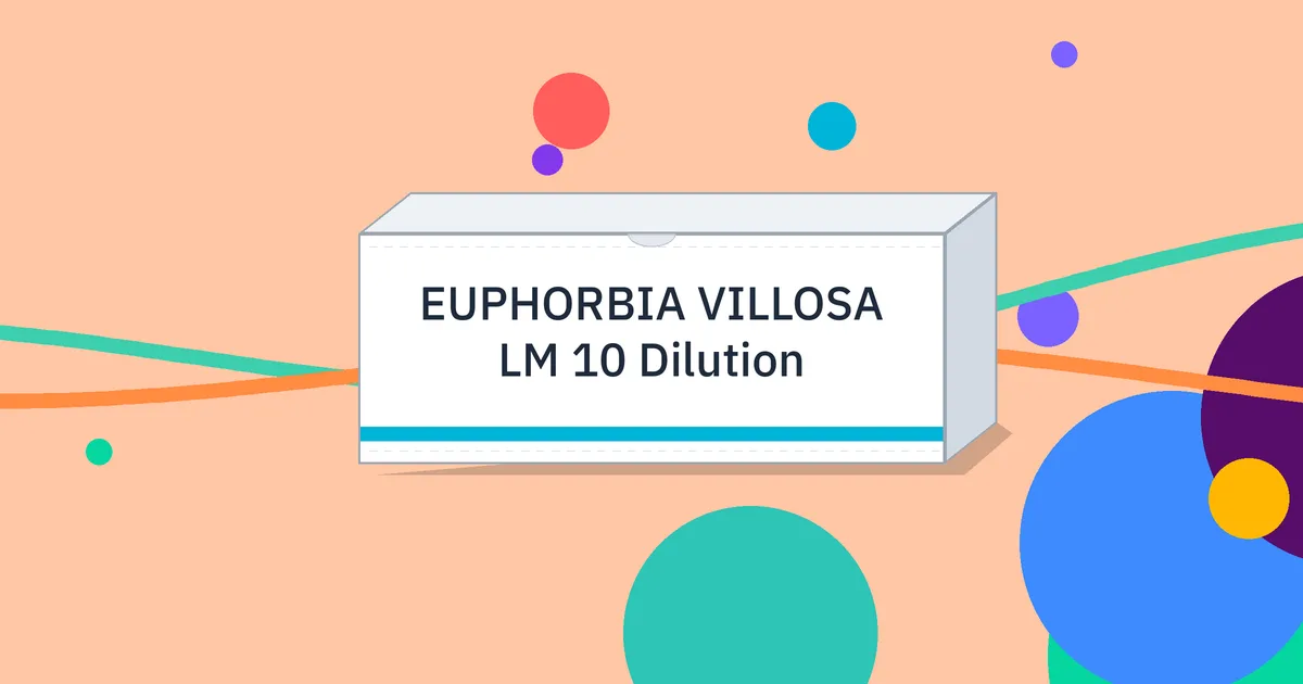 Symbolbild: Packung mit der Aufschrift EUPHORBIA VILLOSA LM 10 Dilution (PZN 13482710) – Verfügbarkeit und Bezug in Apotheken in Frankfurt am Main