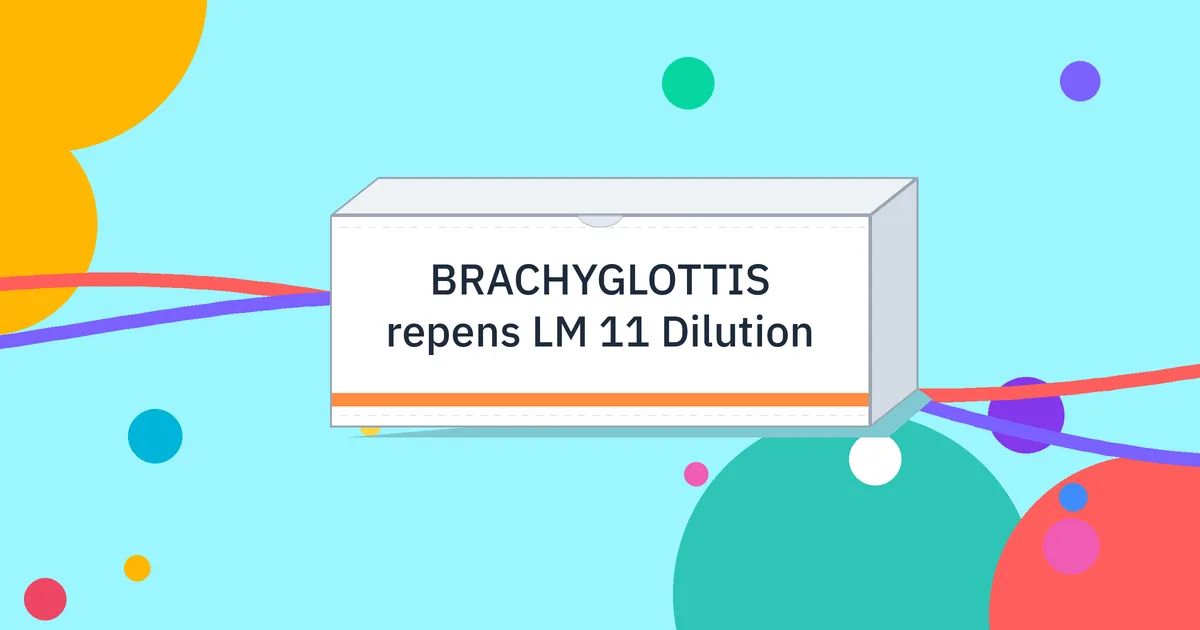 Symbolbild: Packung mit der Aufschrift BRACHYGLOTTIS repens LM 11 Dilution (PZN 13394839) – Verfügbarkeit und Bezug in Apotheken in Frankfurt am Main