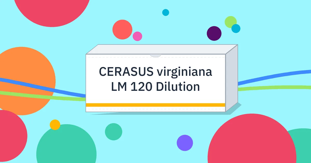Symbolbild: Packung mit der Aufschrift CERASUS virginiana LM 120 Dilution (PZN 13436934) – Verfügbarkeit und Bezug in Apotheken in Frankfurt am Main