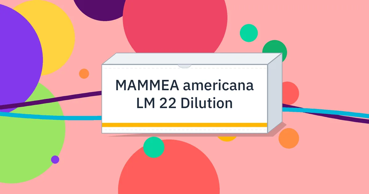 Symbolbild: Packung mit der Aufschrift MAMMEA americana LM 22 Dilution (PZN 13540459) – Verfügbarkeit und Bezug in Apotheken in Frankfurt am Main