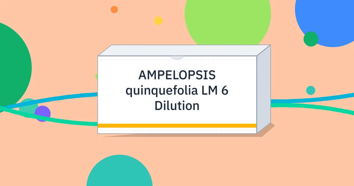Symbolbild: Packung mit der Aufschrift AMPELOPSIS quinquefolia LM 6 Dilution (PZN 13325028) – Verfügbarkeit und Bezug in Apotheken in Frankfurt am Main