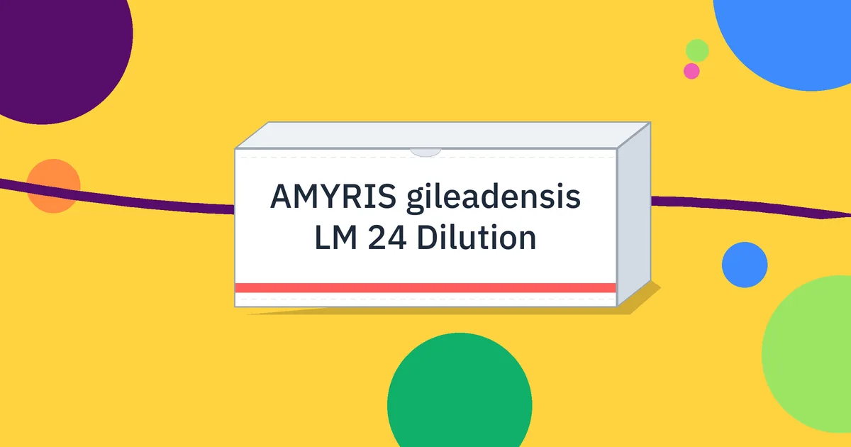 Symbolbild: Packung mit der Aufschrift AMYRIS gileadensis LM 24 Dilution (PZN 13327122) – Verfügbarkeit und Bezug in Apotheken in Frankfurt am Main