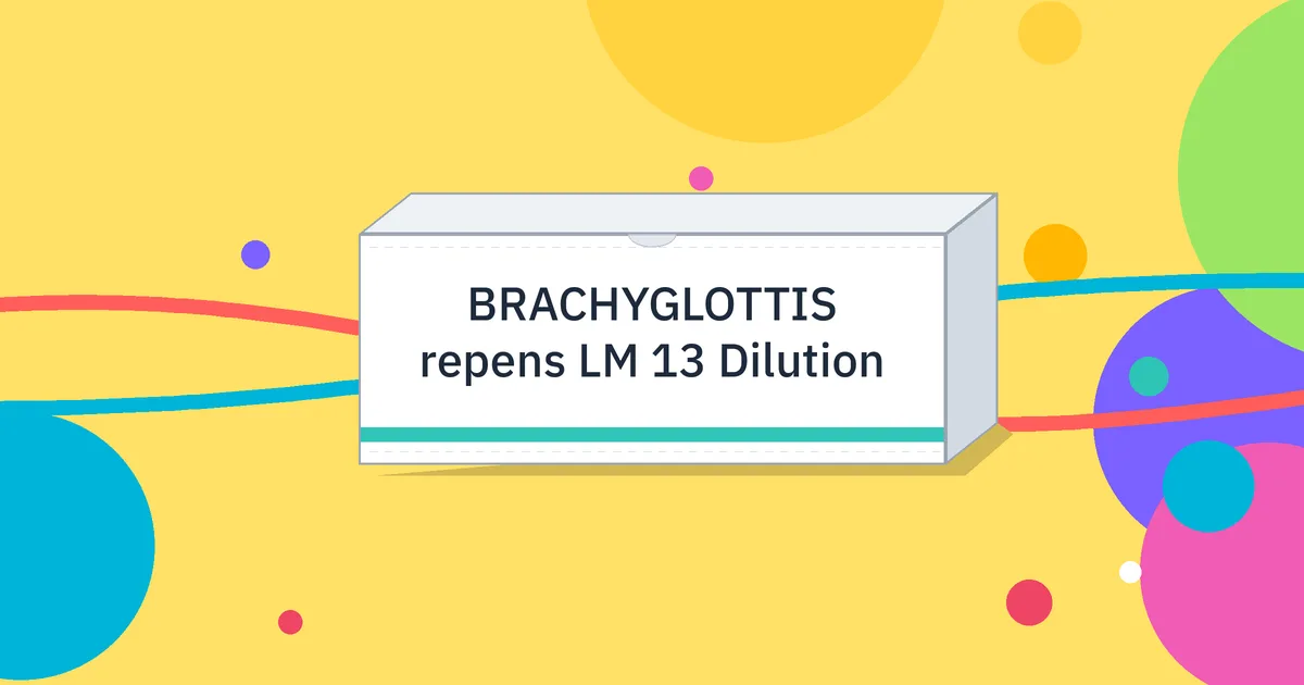 Symbolbild: Packung mit der Aufschrift BRACHYGLOTTIS repens LM 13 Dilution (PZN 13394897) – Verfügbarkeit und Bezug in Apotheken in Frankfurt am Main