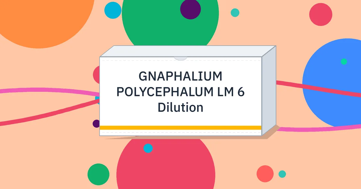 Symbolbild: Packung mit der Aufschrift GNAPHALIUM POLYCEPHALUM LM 6 Dilution (PZN 13545037) – Verfügbarkeit und Bezug in Apotheken in Frankfurt am Main