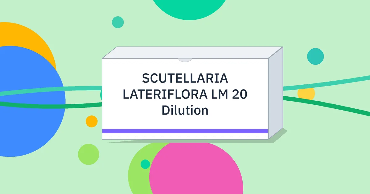 Symbolbild: Packung mit der Aufschrift SCUTELLARIA LATERIFLORA LM 20 Dilution (PZN 13185001) – Verfügbarkeit und Bezug in Apotheken in Frankfurt am Main