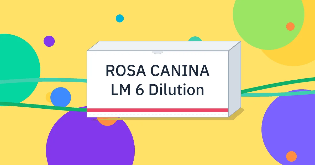 Symbolbild: Packung mit der Aufschrift ROSA CANINA LM 6 Dilution (PZN 13055273) – Verfügbarkeit und Bezug in Apotheken in Frankfurt am Main
