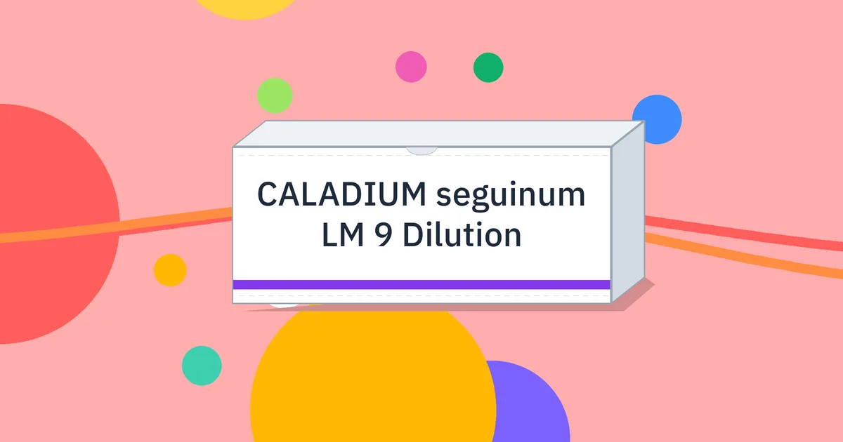 Symbolbild: Packung mit der Aufschrift CALADIUM seguinum LM 9 Dilution (PZN 13403811) – Verfügbarkeit und Bezug in Apotheken in Frankfurt am Main