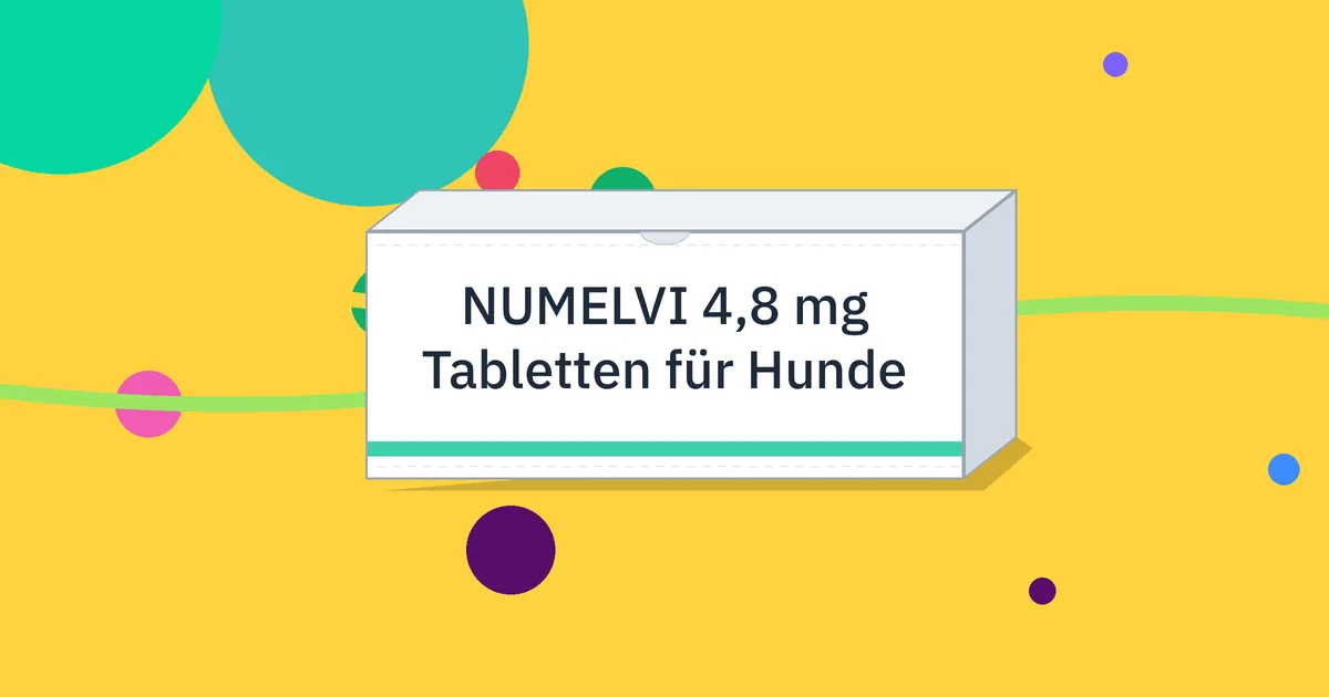 Symbolbild: Packung mit der Aufschrift NUMELVI 4,8 mg Tabletten für Hunde (PZN 20098656) – Verfügbarkeit und Bezug in Apotheken in Frankfurt am Main