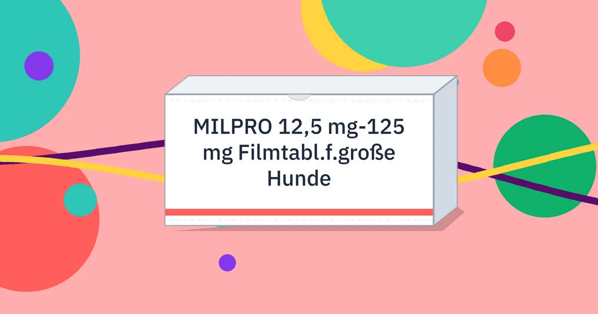 Symbolbild: Packung mit der Aufschrift MILPRO 12,5 mg-125 mg Filmtabl.f.große Hunde (PZN 11032256) – Verfügbarkeit und Bezug in Apotheken in Frankfurt am Main
