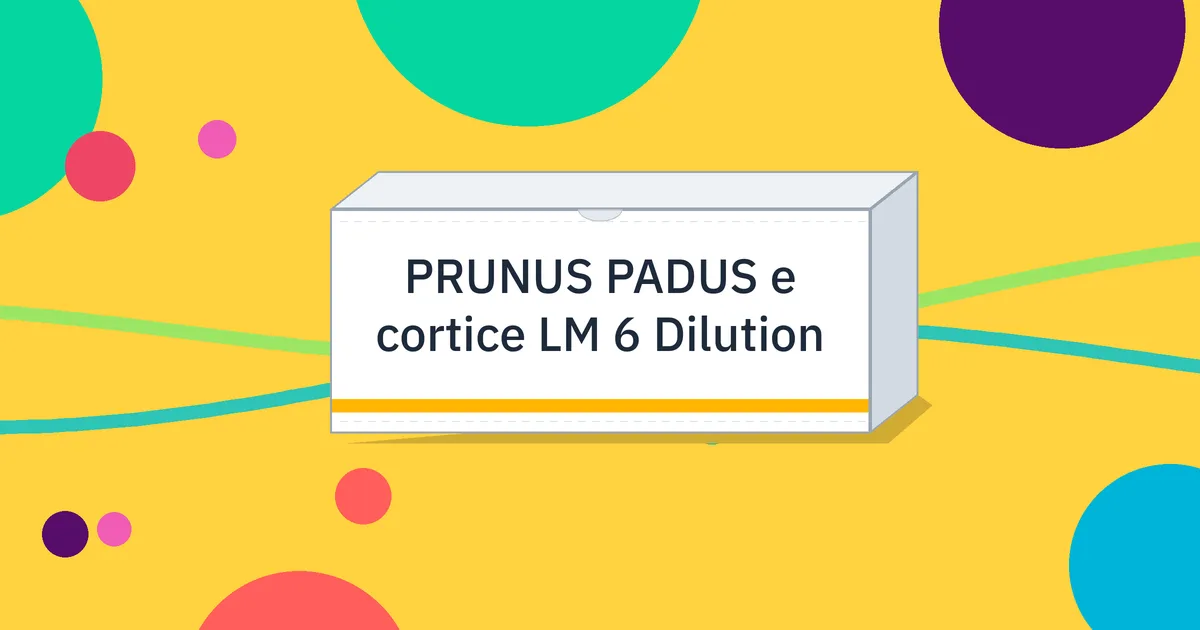 Symbolbild: Packung mit der Aufschrift PRUNUS PADUS e cortice LM 6 Dilution (PZN 13669302) – Verfügbarkeit und Bezug in Apotheken in Frankfurt am Main