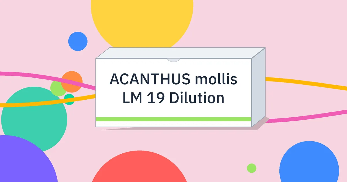 Symbolbild: Packung mit der Aufschrift ACANTHUS mollis LM 19 Dilution (PZN 13263422) – Verfügbarkeit und Bezug in Apotheken in Frankfurt am Main