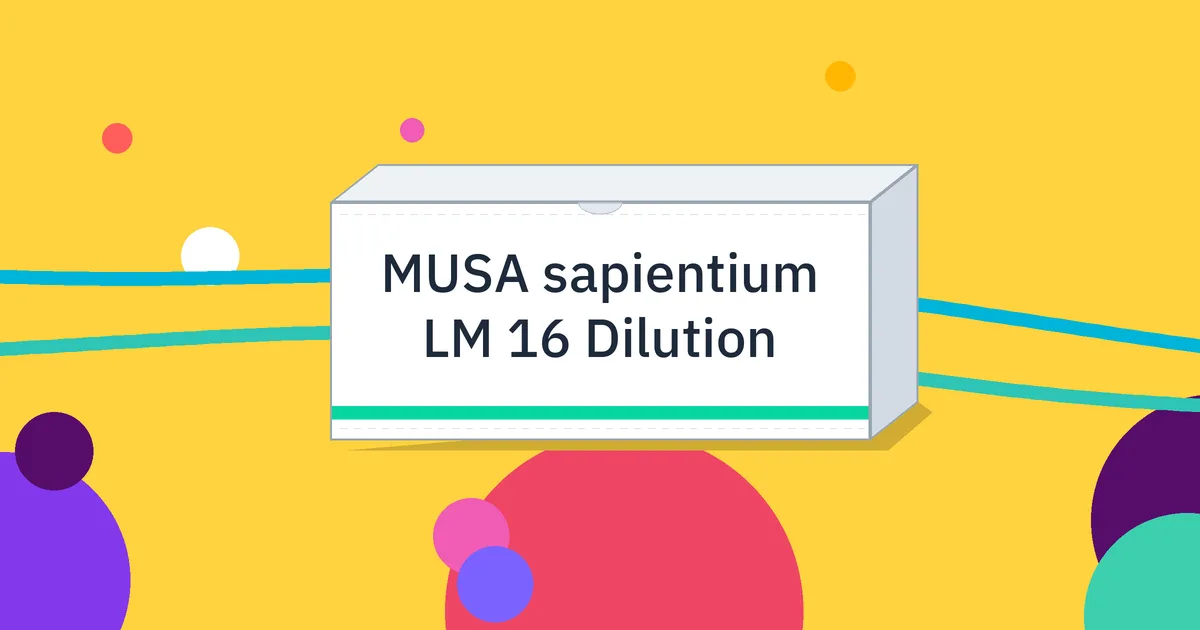 Symbolbild: Packung mit der Aufschrift MUSA sapientium LM 16 Dilution (PZN 13611722) – Verfügbarkeit und Bezug in Apotheken in Frankfurt am Main