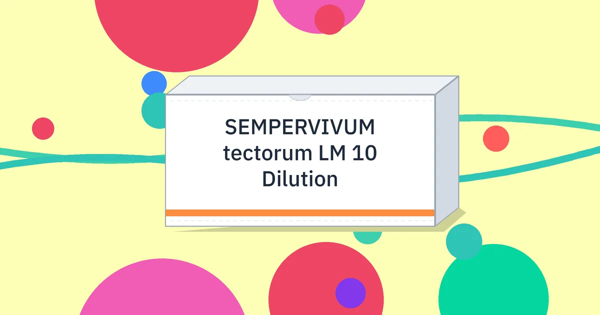 Symbolbild: Packung mit der Aufschrift SEMPERVIVUM tectorum LM 10 Dilution (PZN 13186176) – Verfügbarkeit und Bezug in Apotheken in Frankfurt am Main